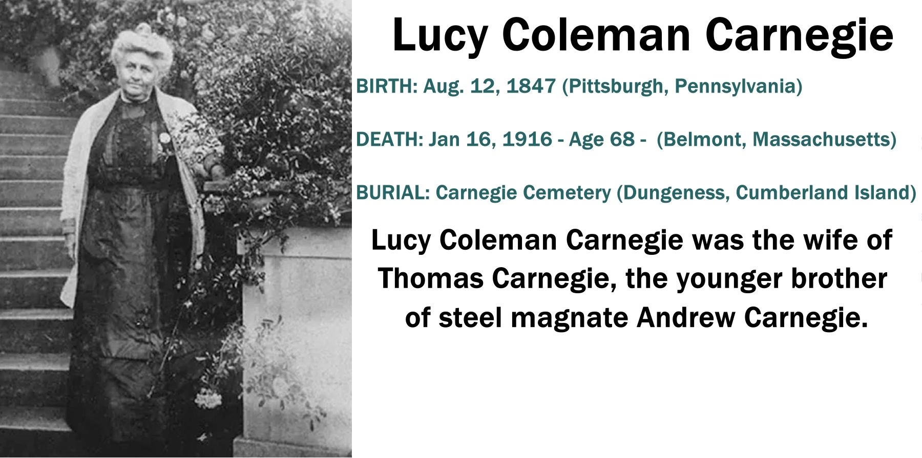 Amelia River Cruises Picture Books - Amelia River Cruises : Amelia ...