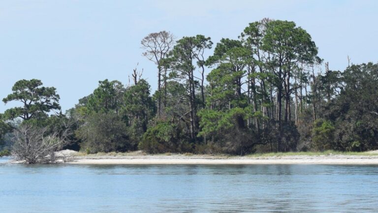 Amelia Island’s History Was Vital to America’s Story